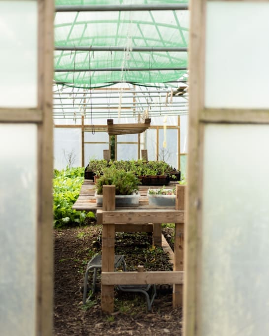 The 14 best farm-to-table restaurants in the UK | ROADBOOK