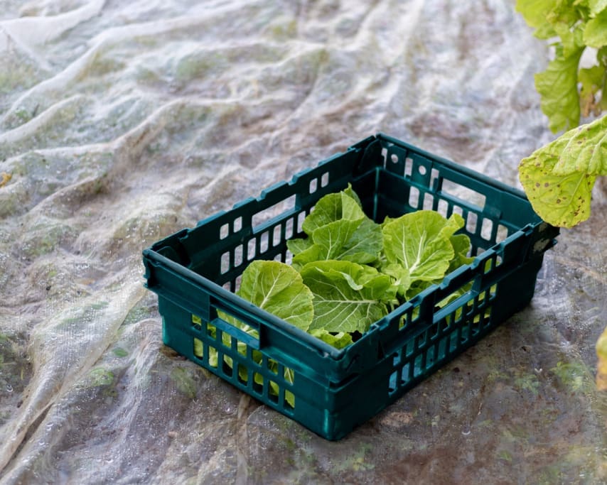 The 14 best farm-to-table restaurants in the UK | ROADBOOK