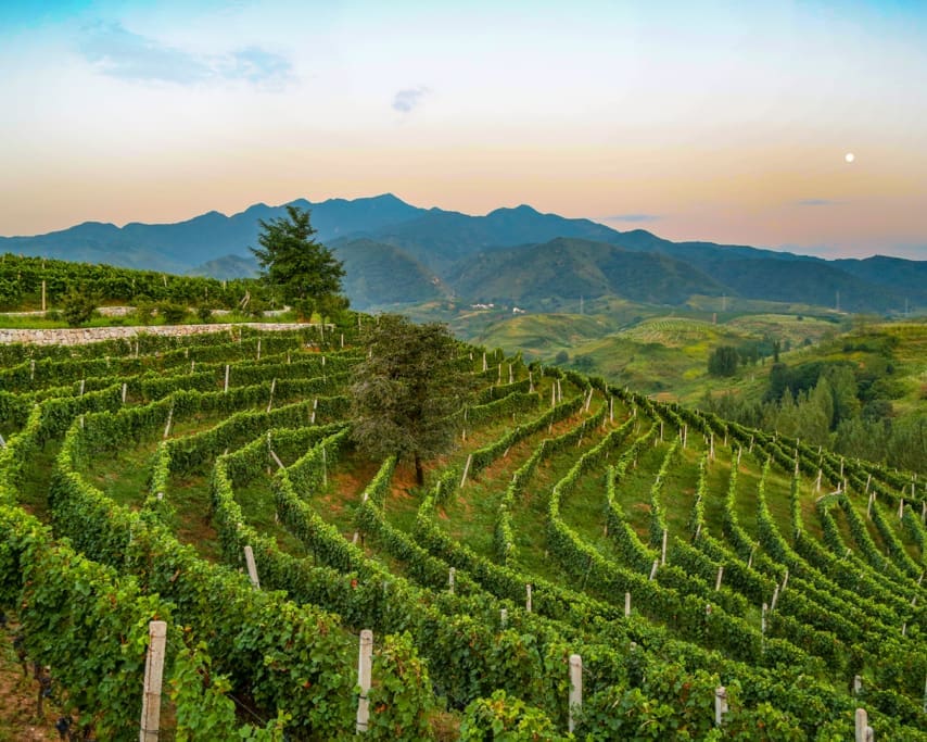 Rural China: Rise of domestic travel in the countryside