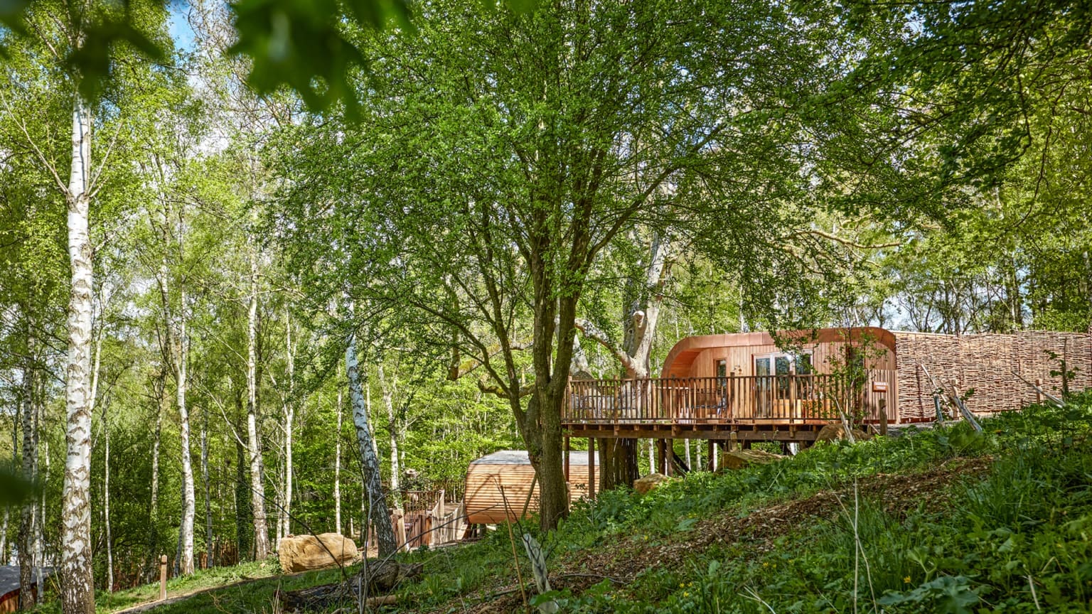 The best treehouse stays in the UK for an off-grid getaway