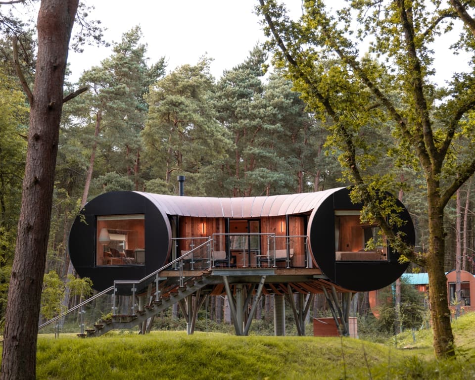 The best treehouse stays in the UK for an off-grid getaway